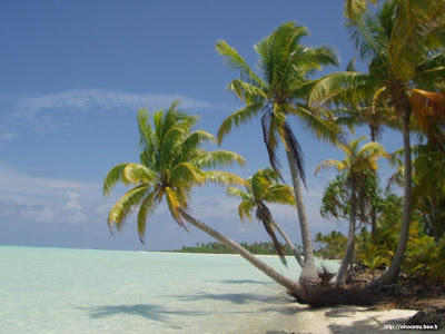 Tetiaroa-Tahiti | Mis Fotos, asi miro el mundo yo!
