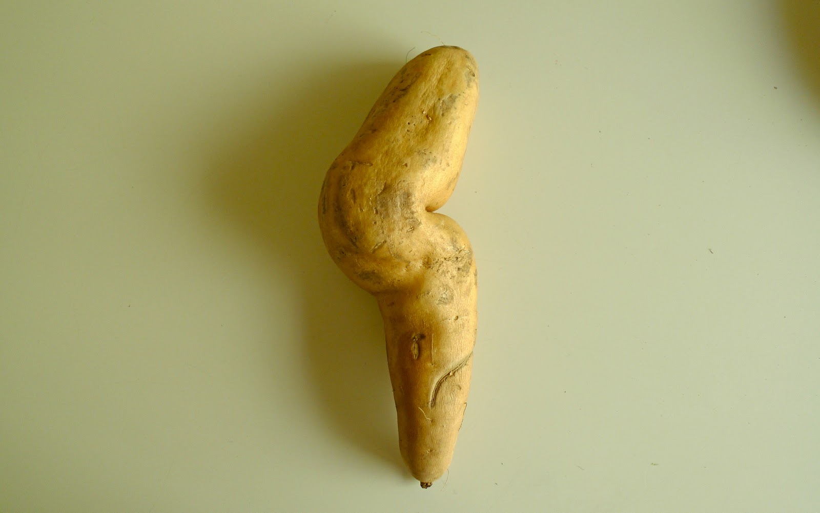 Bon Appétempt: How to Cook a Wolf's Sweet Potato Pudding