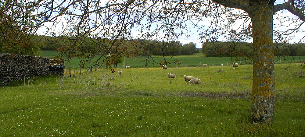 Days on the Claise: Saturated at Chambon