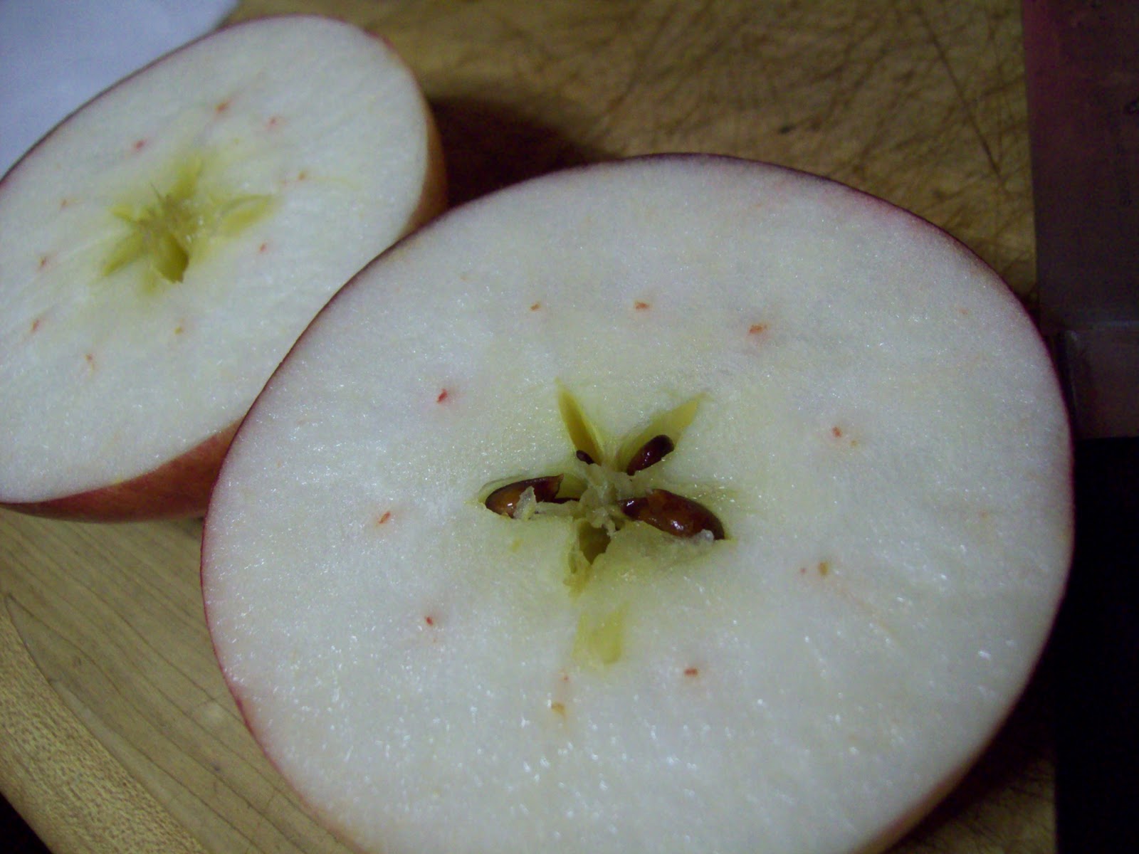 Walking With Ancestors: Autumn Apple Seeds