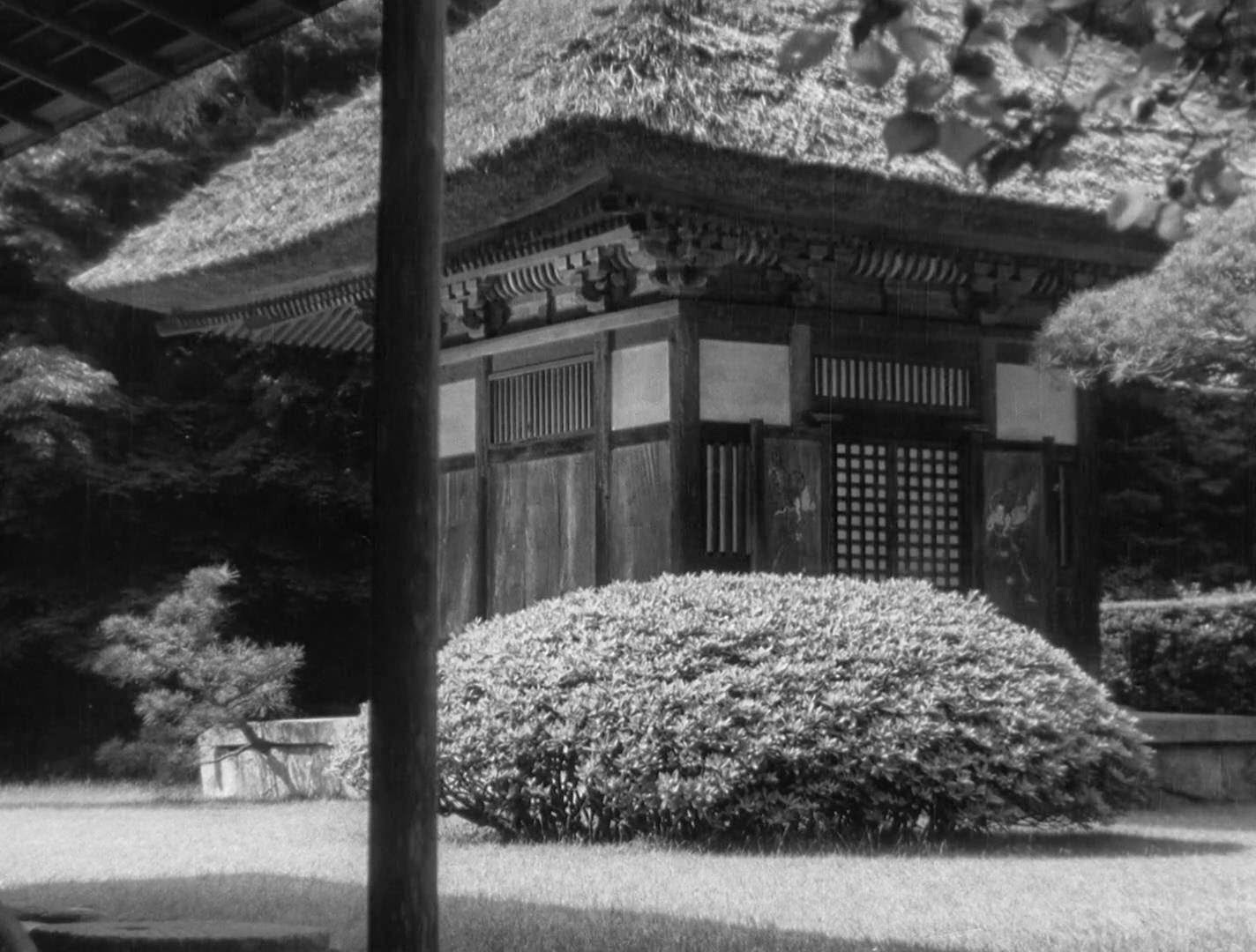 Análisis Cinematográfico desde México