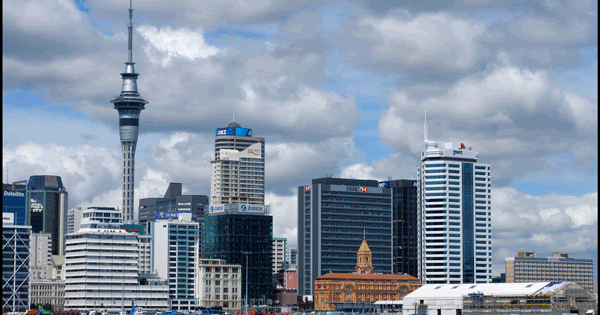 Our Adventures House Sitting: Summertime Christmas in Auckland