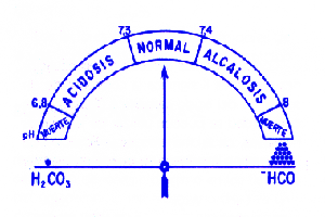 nefrored: EQUILIBRIO ACIDO BASE - ECUACION DE HENDERSON-HASSELBALCH