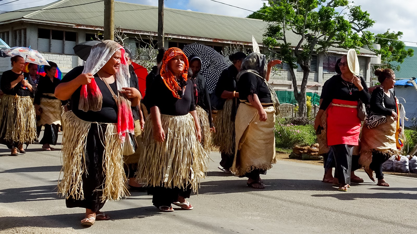 Tonga - The iron humpback whale - Sven's Travel Venues