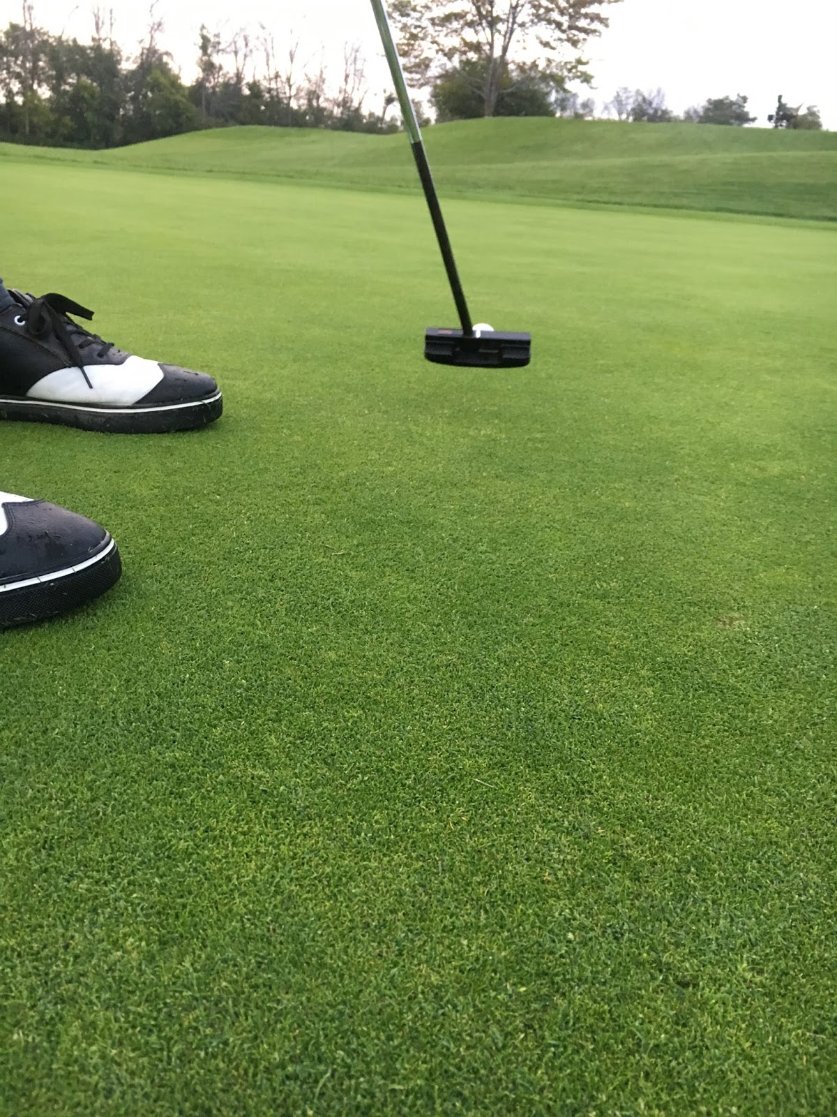 Putter Review: SeeMore Mini GIANT Deep Flange Black Stealth Putter ...