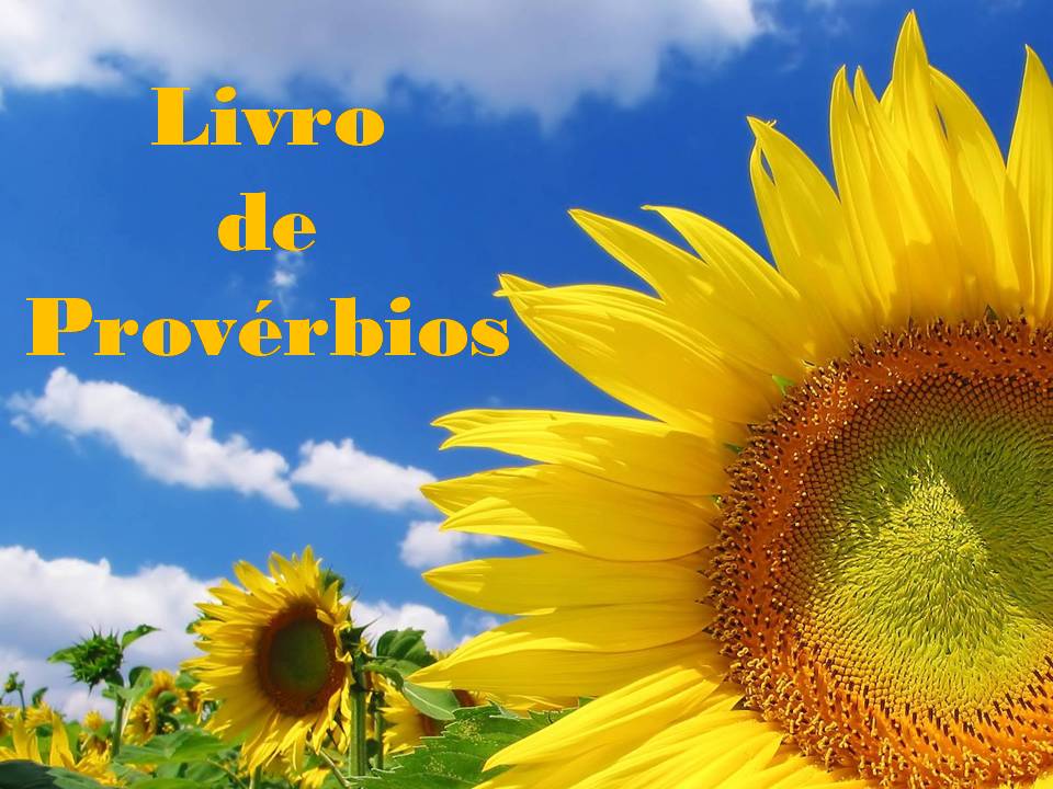Adorador kids: livro de proverbios
