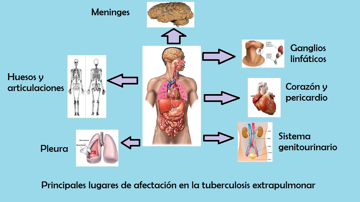 DIVULGACIÓN CIENTÍFICA UG