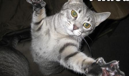 365 Days of Jazz Hands: 365 Days of Jazz Hands - Day 161