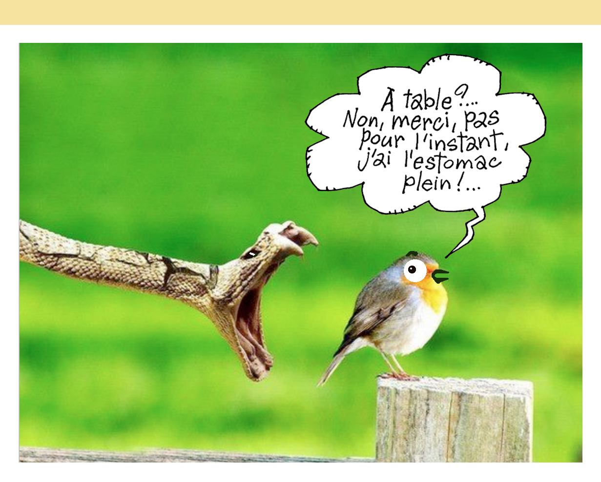 Claude Dubois - SYLVAIN, SYLVETTE... HUMOUR... etc...: A TABLE