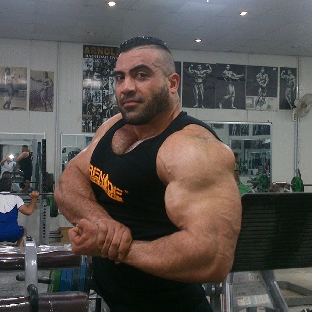 Muscle Lover: Iraqi muscle beast Ali Hani (2)