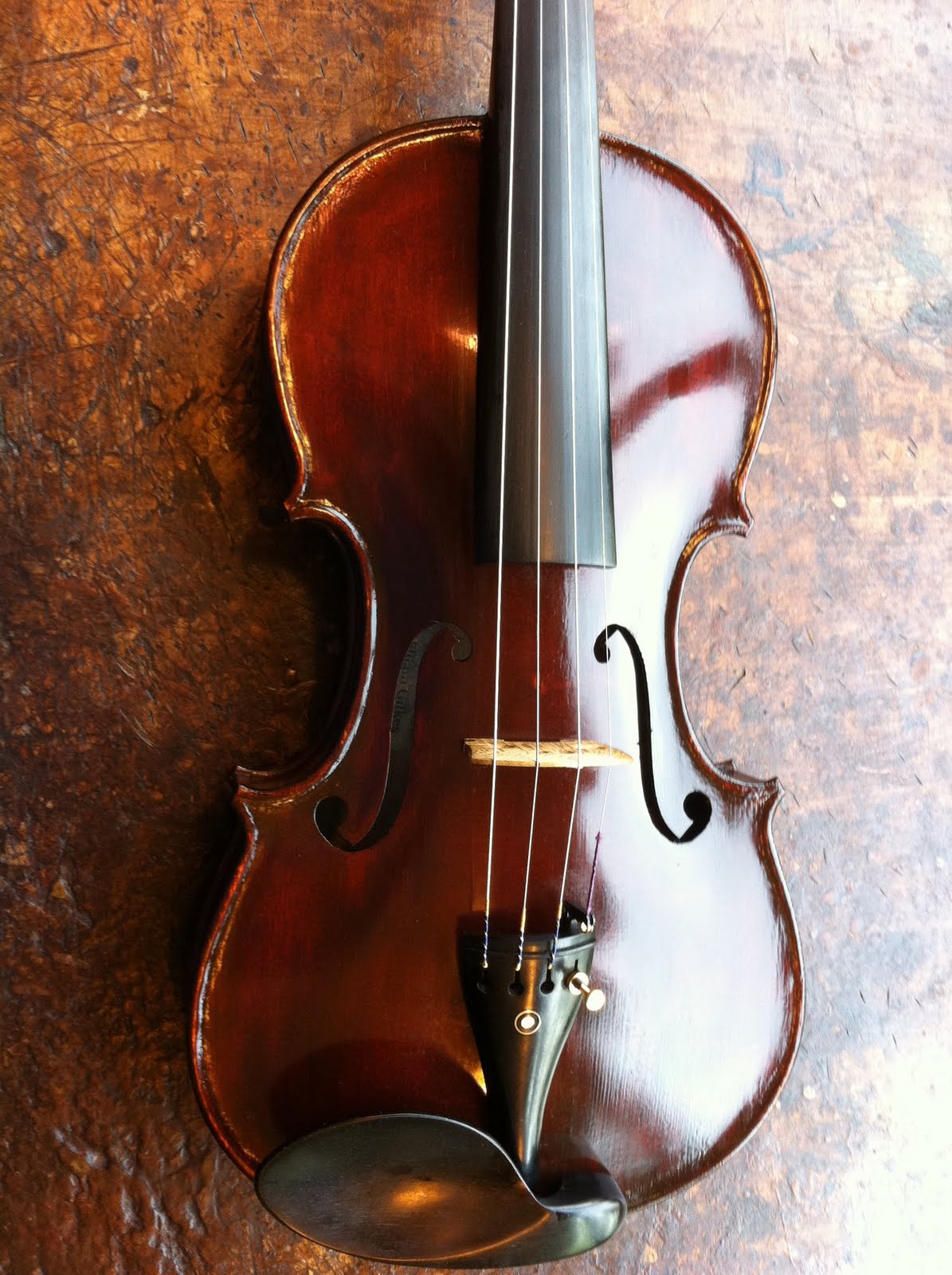 The Violin Shop: William Gilkes, Violin Maker