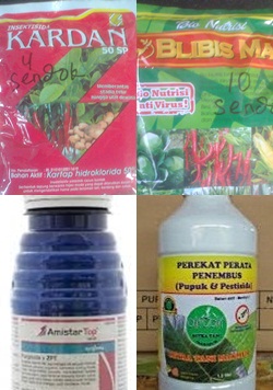 PENYAKIT TUNGRO PADA TANAMAN PADI DAN CARA PENGENDALIANYA | Pertanian