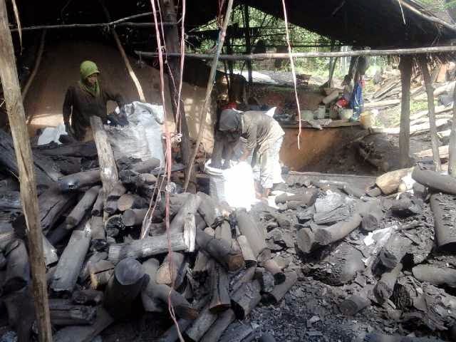 ARANG KAYU KALIMANTAN: JENIS ARANG KAYU