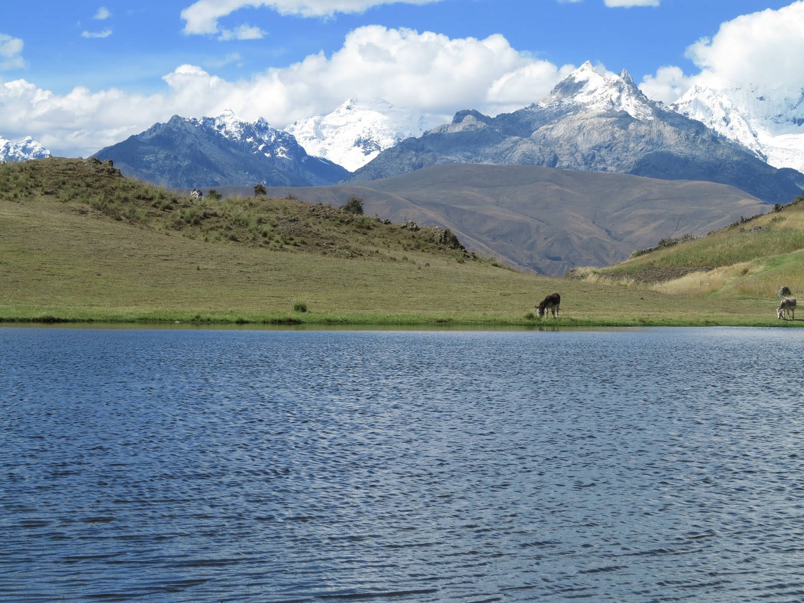 MONTAÑERA A TUS MONTAÑAS: Laguna Wilcacocha (Ancash, Perú)
