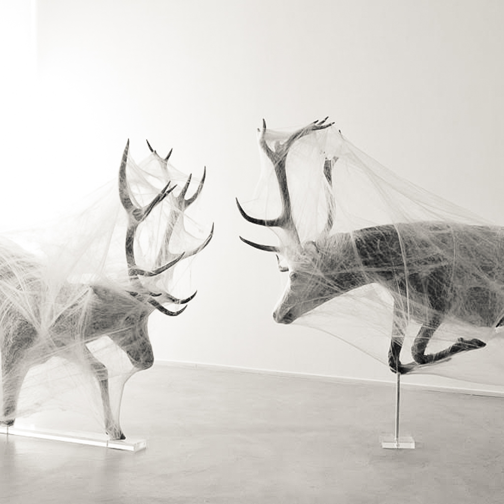 Artefields: Julien Salaud