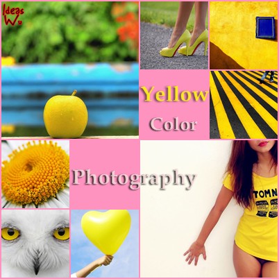 Yellow (happiness) Photography
