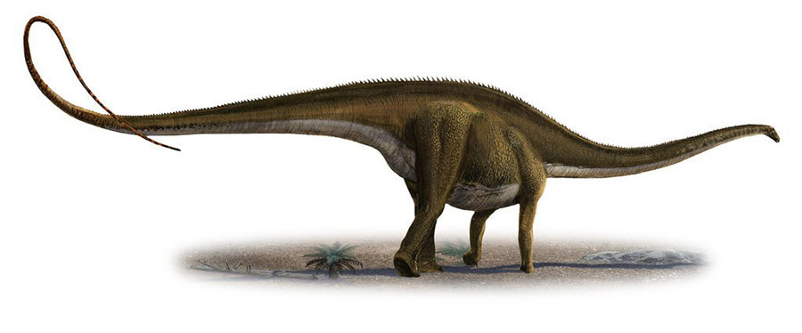 Mundo Pré-Histórico: Diplodoco, um dos dinossauros mais longos