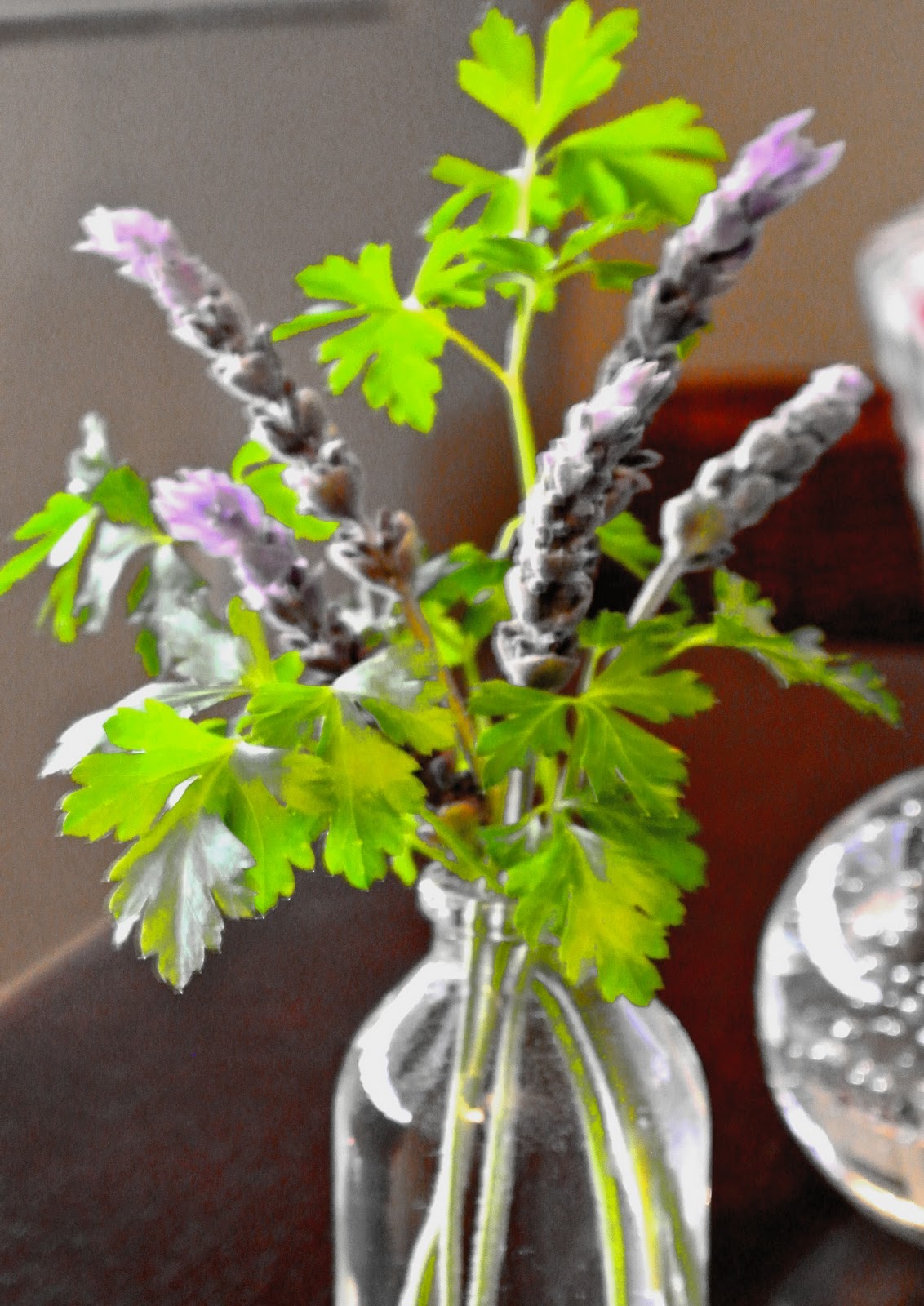 Calico Quilter's Garden: Lavendar Sprigs and Parsley