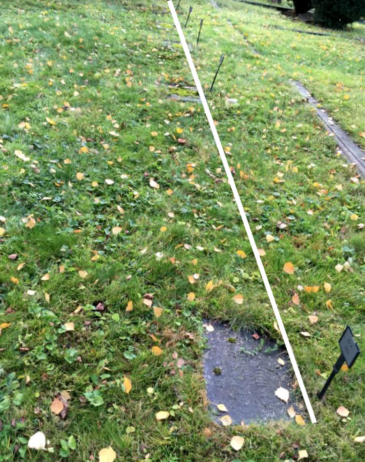 Jim bao Today with ©opyright on all pictu®es and text: De första ...