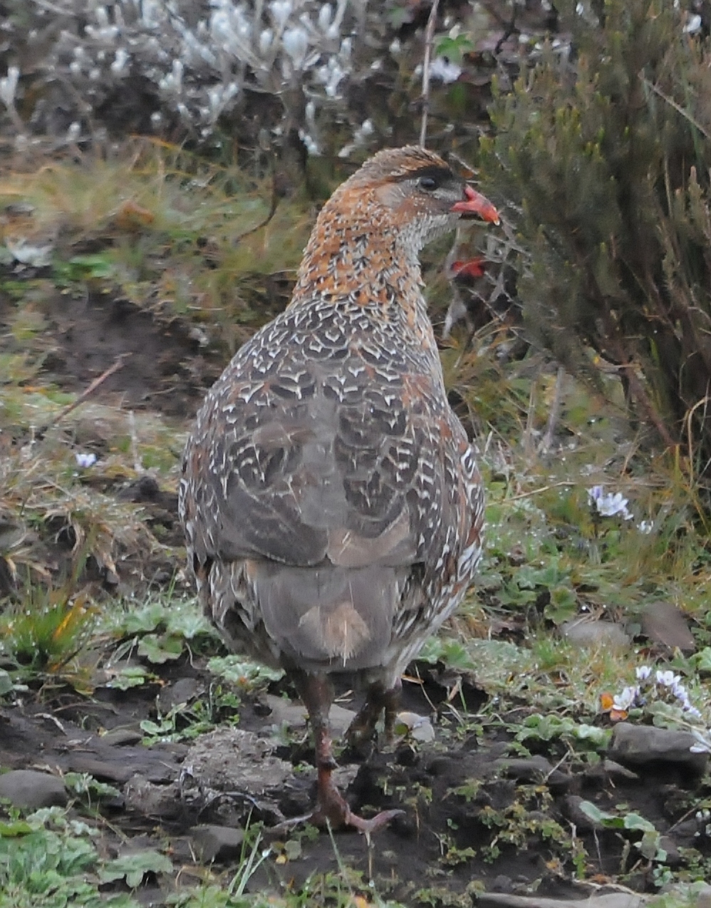 Matt Eade's Blog: 2012