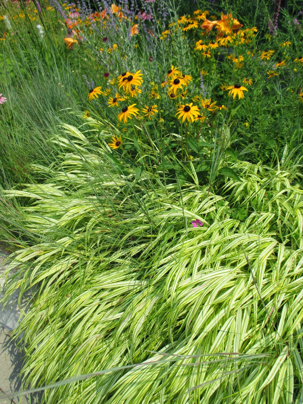 Rotary Botanical Gardens - Hort Blog: Cool Rooftop Garden