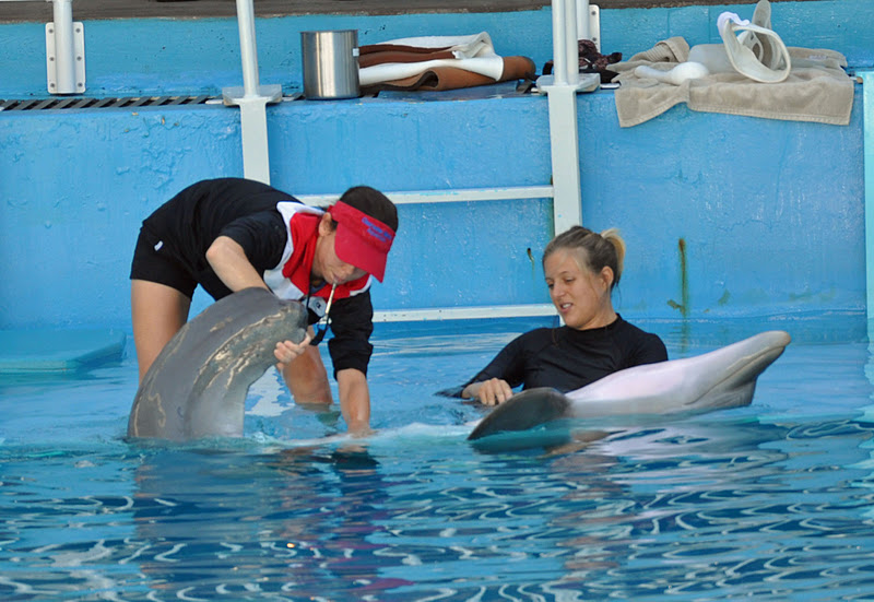 My L'il Crafty Corner - Layouts, Photo's and More!: Meet Winter from ...