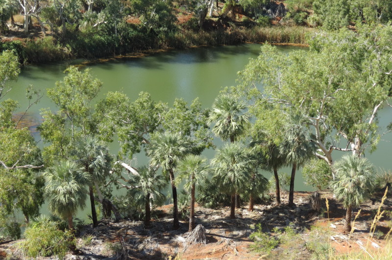 The Travelling Novocastrians: MILLSTREAM CHICHESTER NATIONAL PARK WA