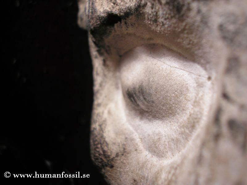 Archaeology of Portable Rock Art: Life-size flint stone human head ...