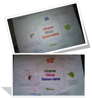 CIKGU EELA (IL) PRESCHOOLERS @ PCE: Kitaran Hidup Rama-rama::