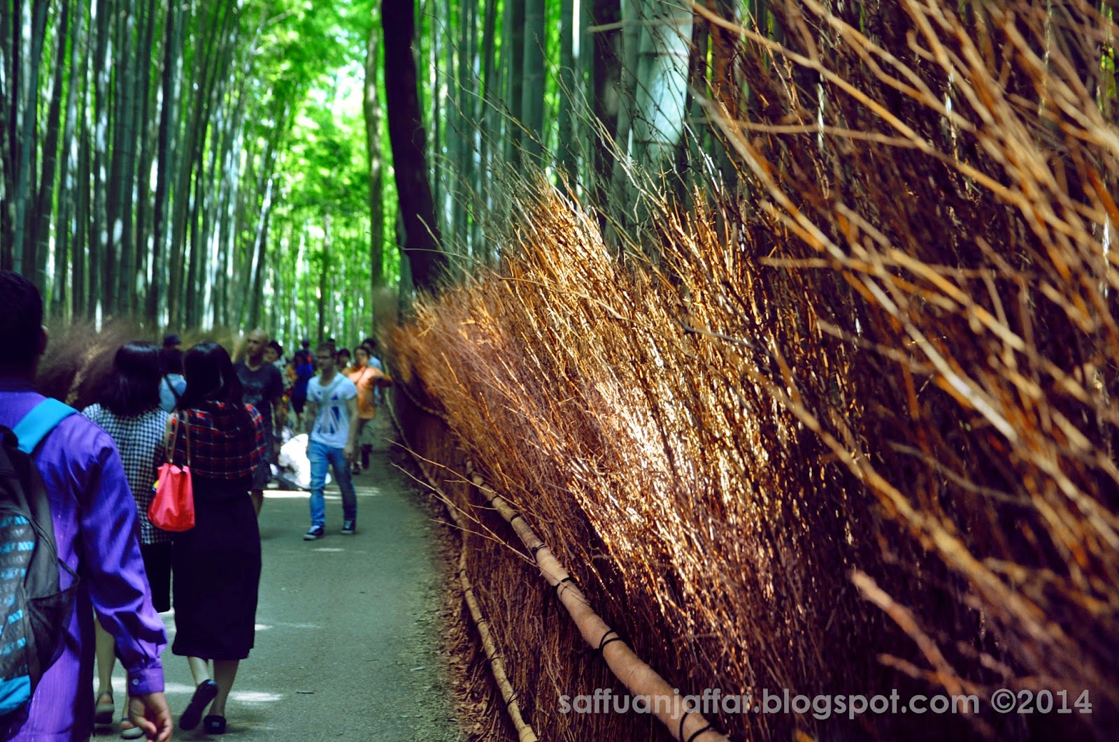 Saffuan Jaffar Blog Travel: Trip Bercuti di Jepun | Arashiyama Mystical ...