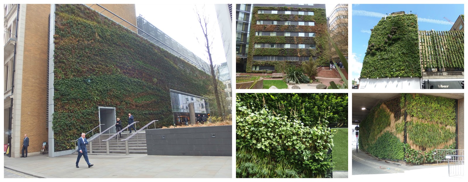 The Great Green Wall Hunt: The story so far