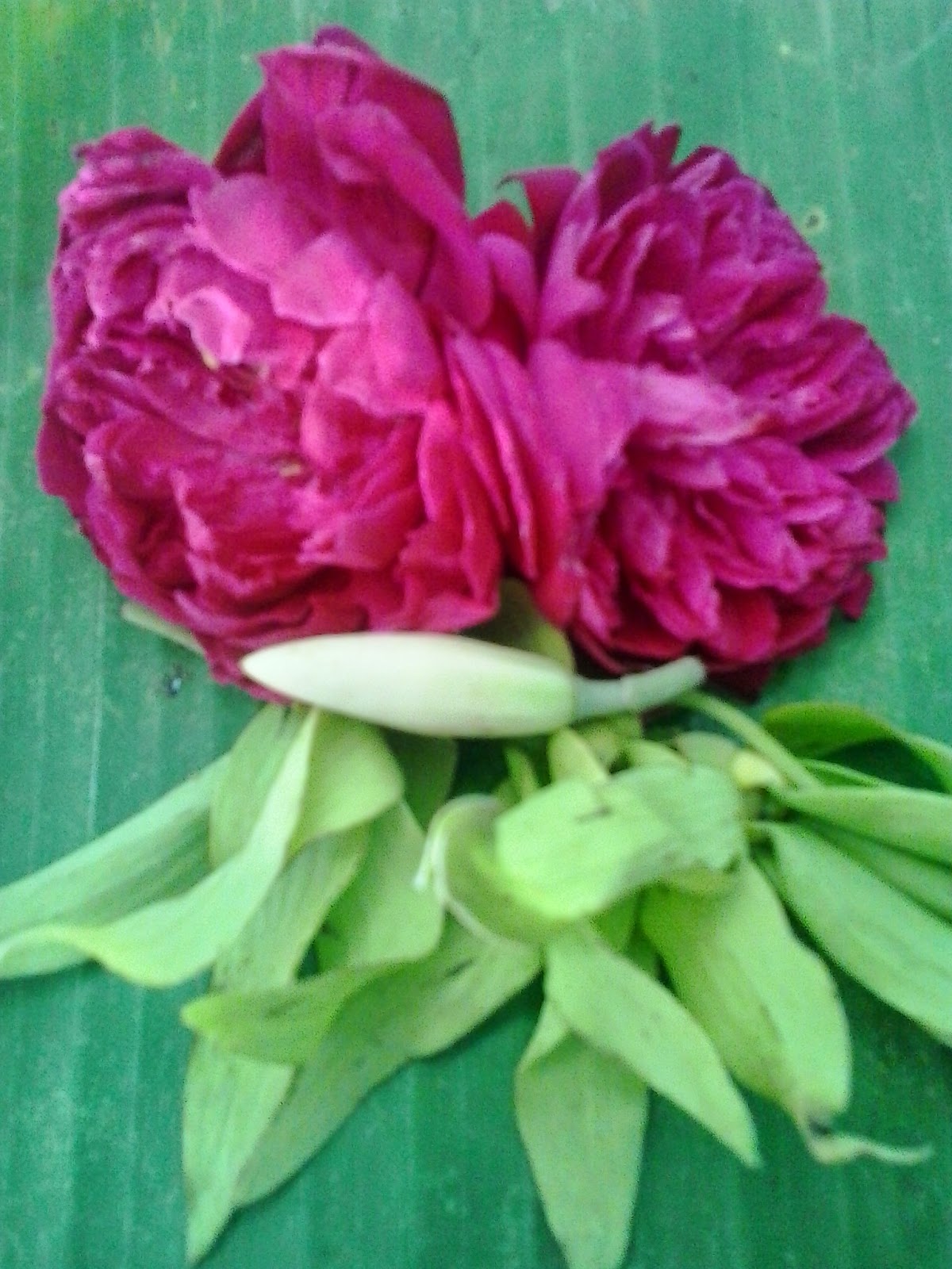 WONG JOWO IN THE BLOG: PENGGUNAAN KEMBANG DAN MAKNA DI DALAMNYA