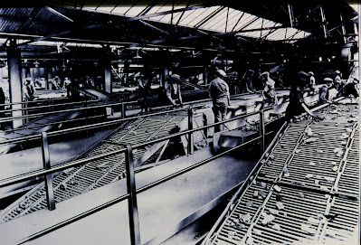 Featherstone's Three Collieries: Ackton Hall