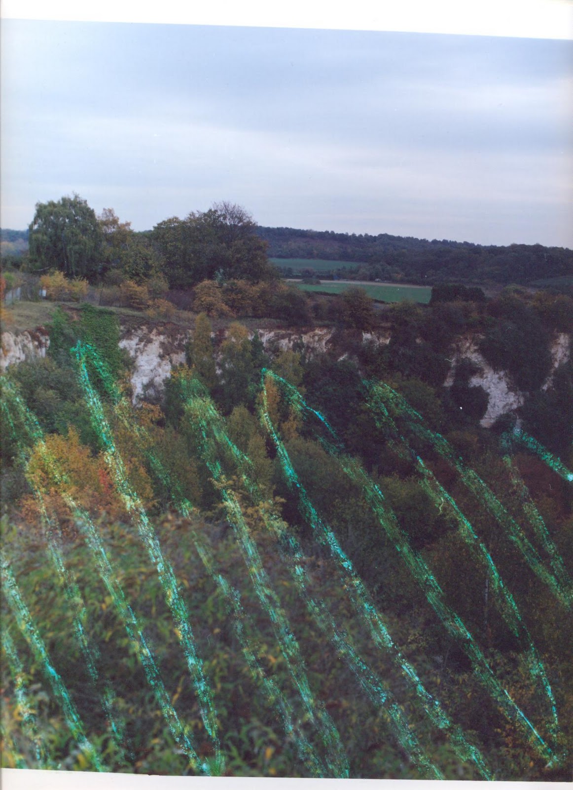 Marie Hanrahan Photography: Environment: Shoot