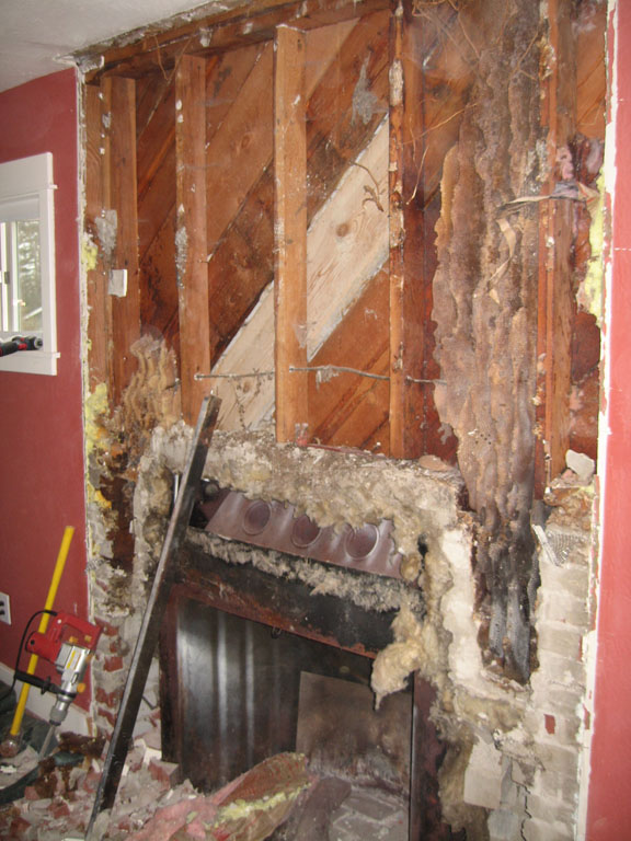 The Zundelephant in the Room: Honey, I Ripped Out the Fireplace