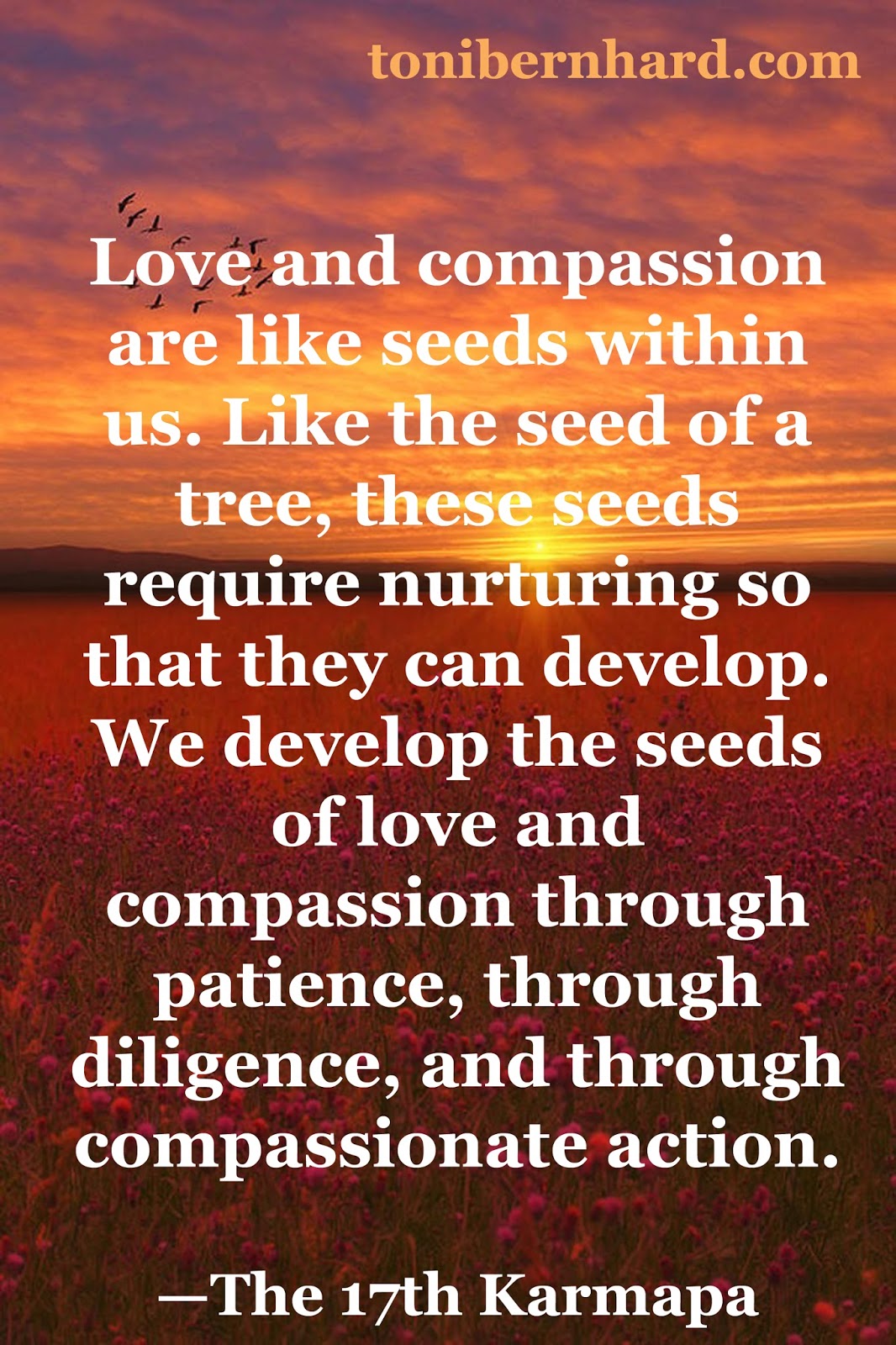 Inspirational Reflections: On Love, Life, and Your Inherent ...