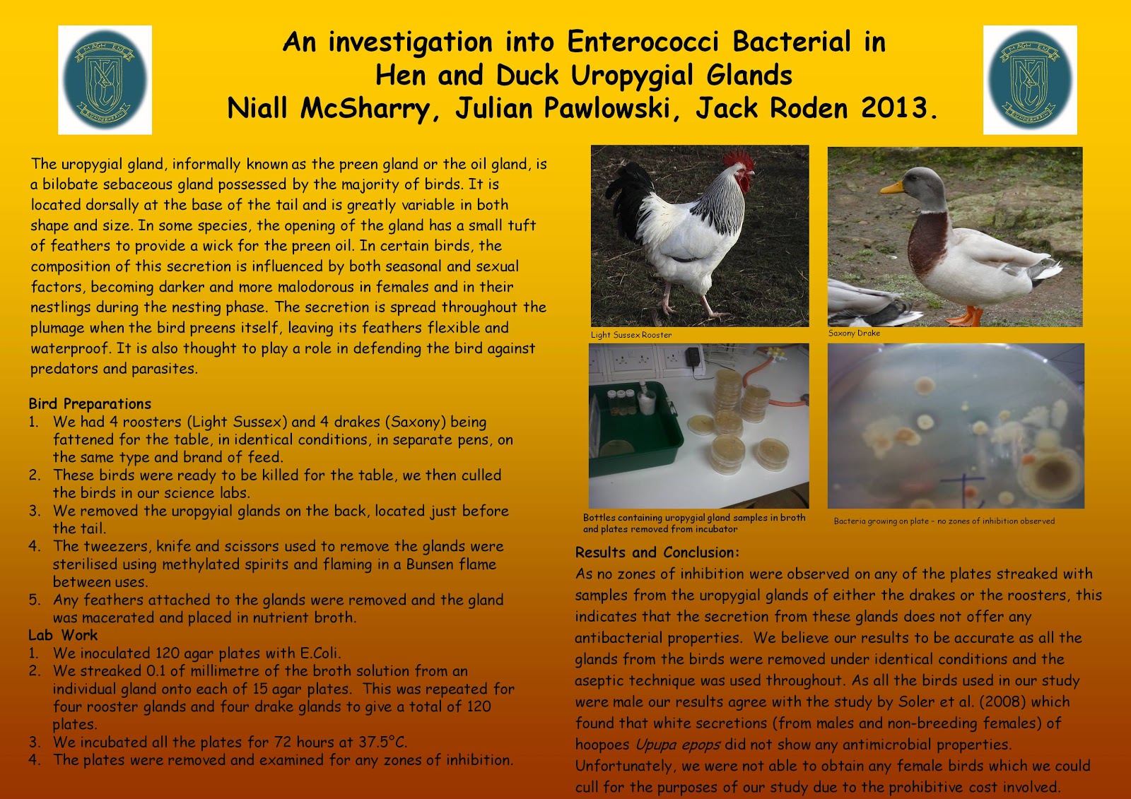 Magh Sci: BT Young Scientist