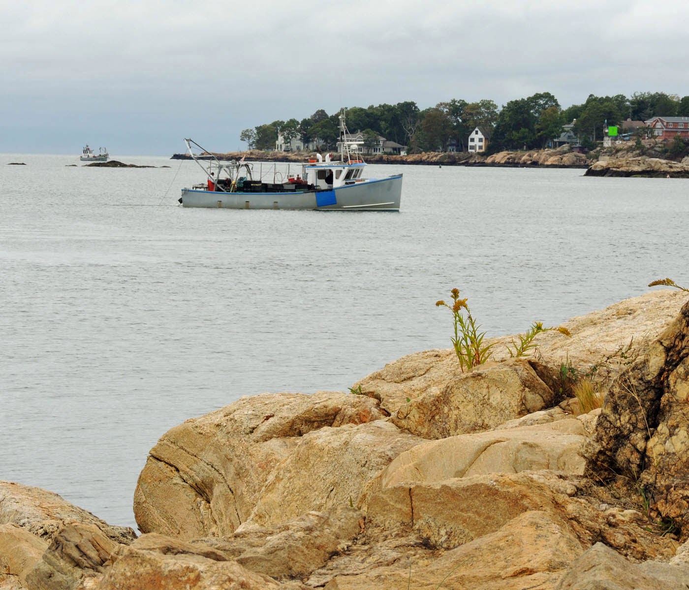 CT Shoreline Artists - CTSA: Branford Point and Parker Memorial Park 2014
