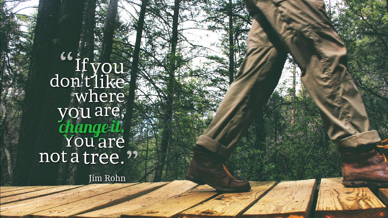 How I Power My Ideas: 7 Signs When You Should Understand You are not a Tree