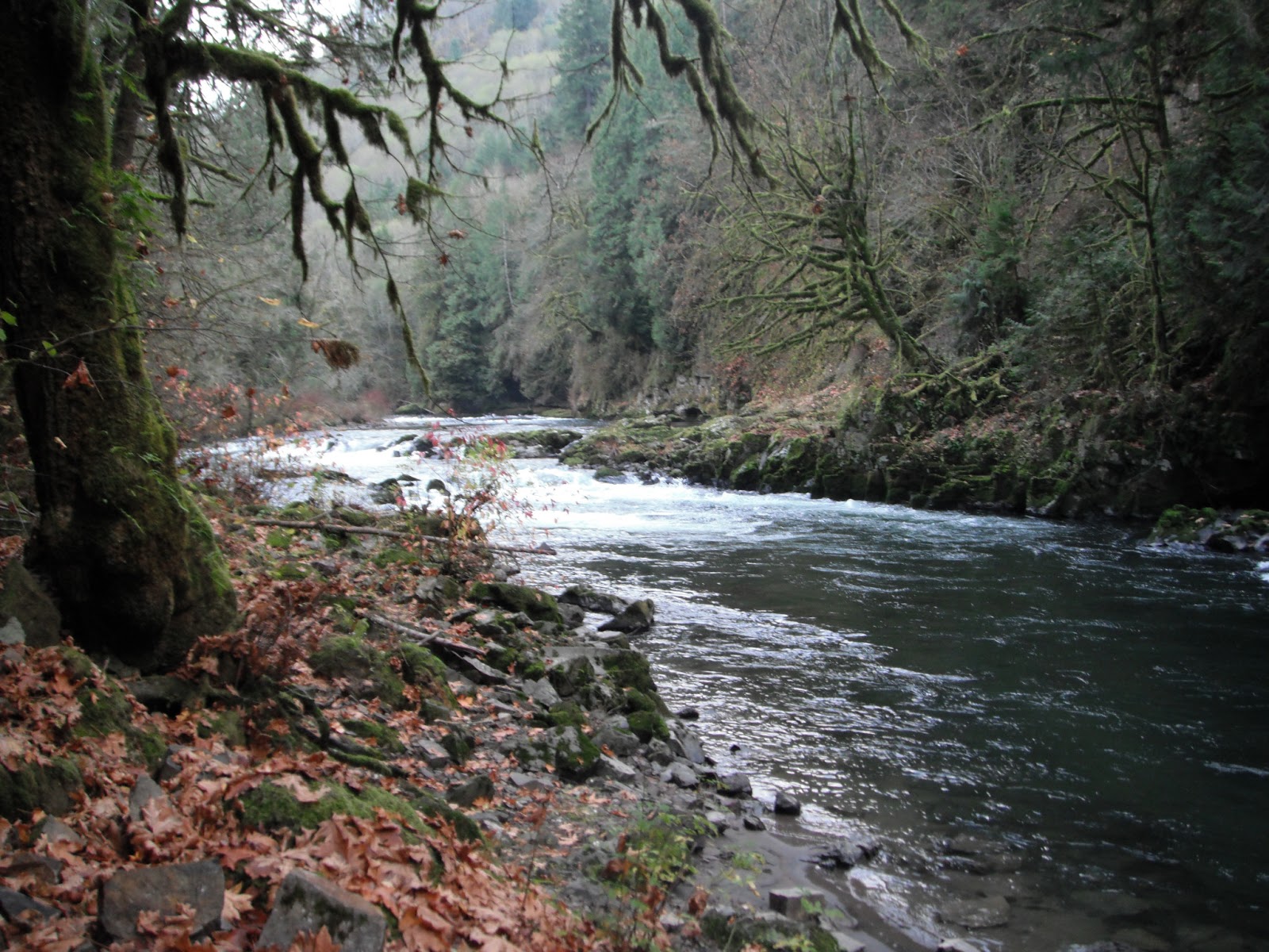 Where I have Fished: Kalama River (Fall Steelhead)
