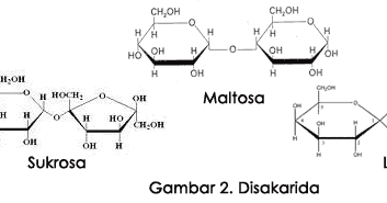 owner's blog: DISAKARIDA DAN POLISAKARIDA