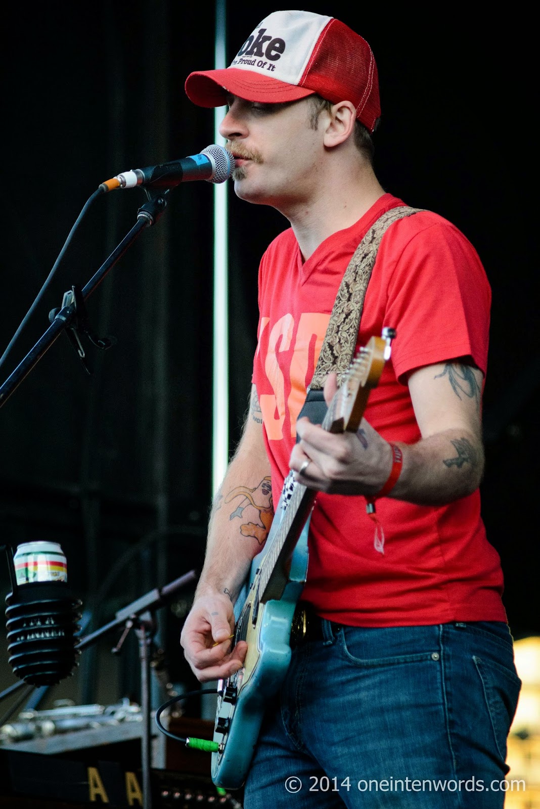 one in ten words: TURF Day 1: Band 5: Deer Tick