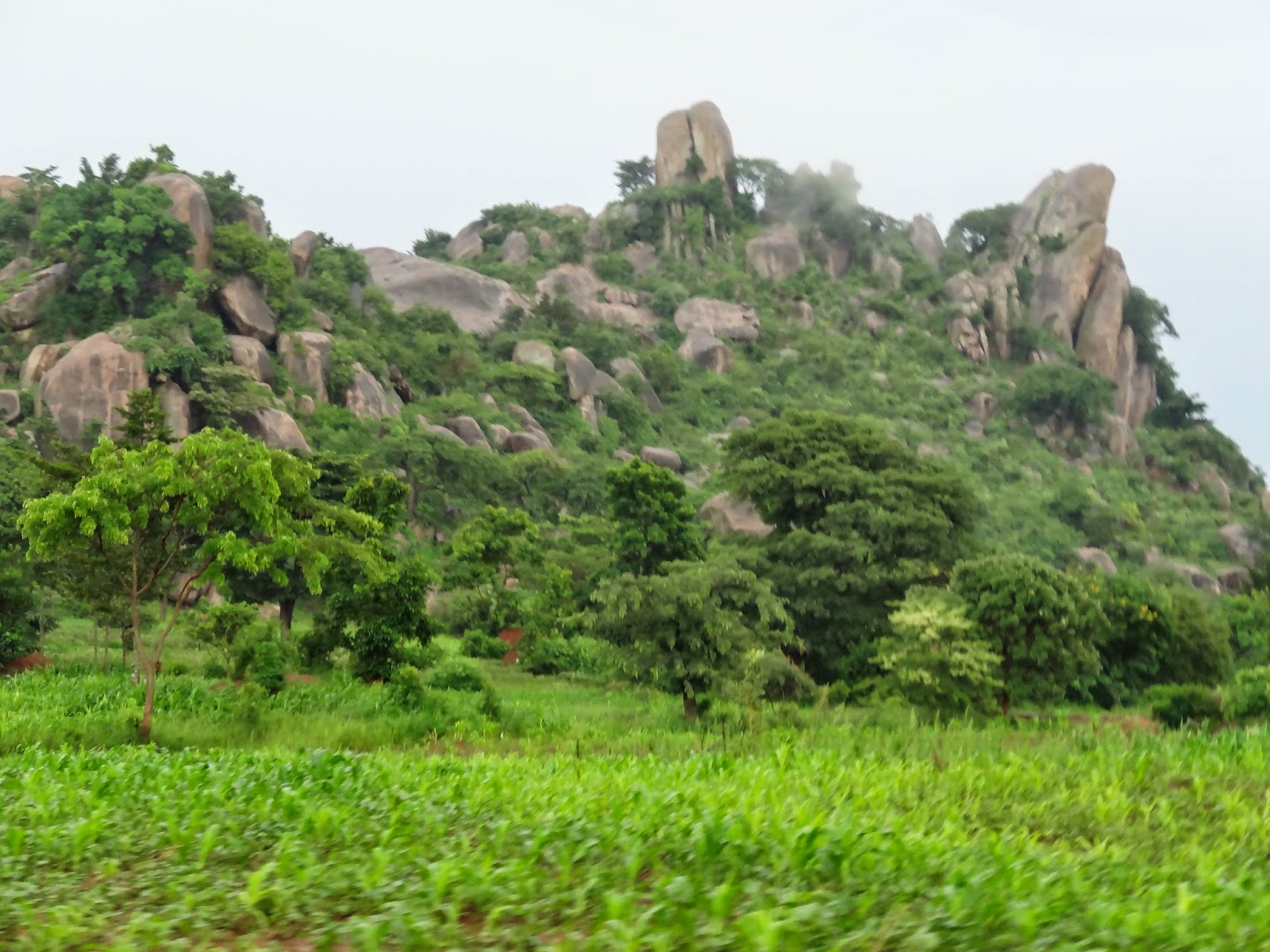 Word and Seed in Uganda: Visit to Pallisa