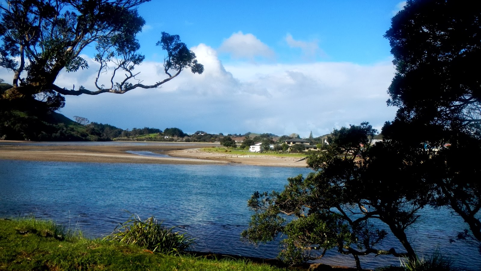 Licorice Allsorts: Adventures at Pataua South