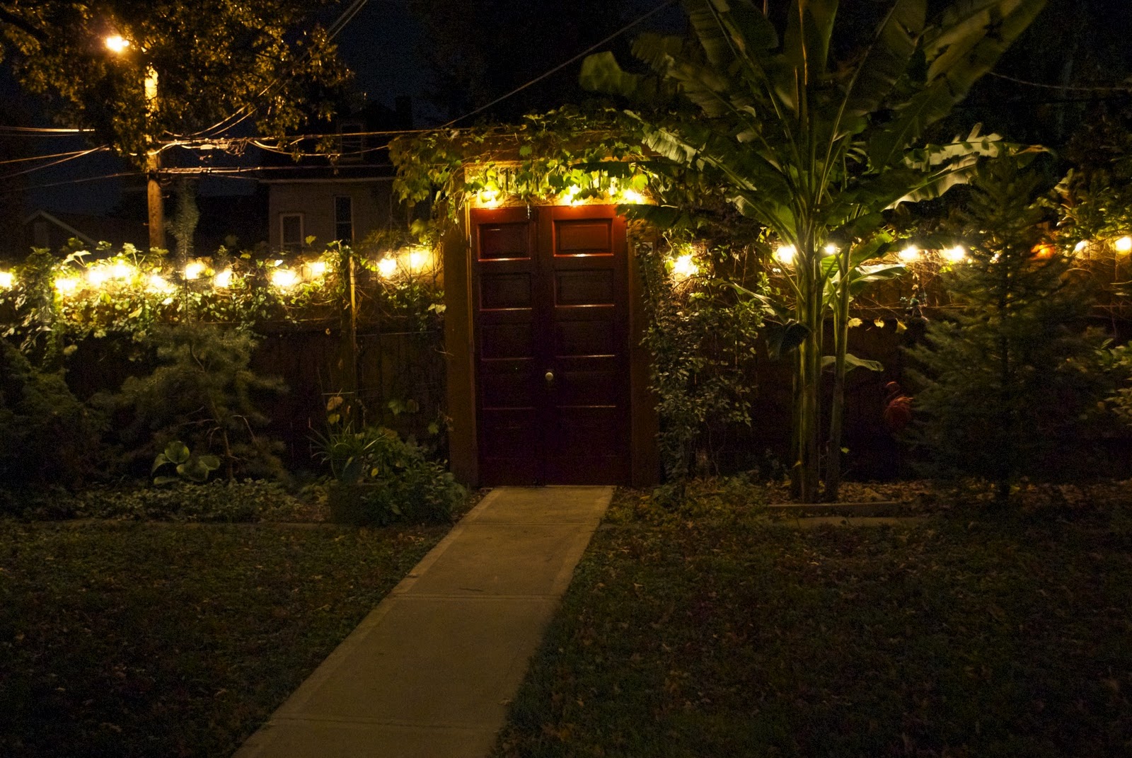 cupcait: Vacation part I - Saint Louis