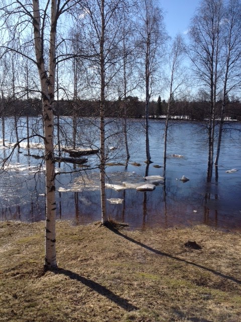 Bullbugbear kuulumisia - News from Bullbugbear