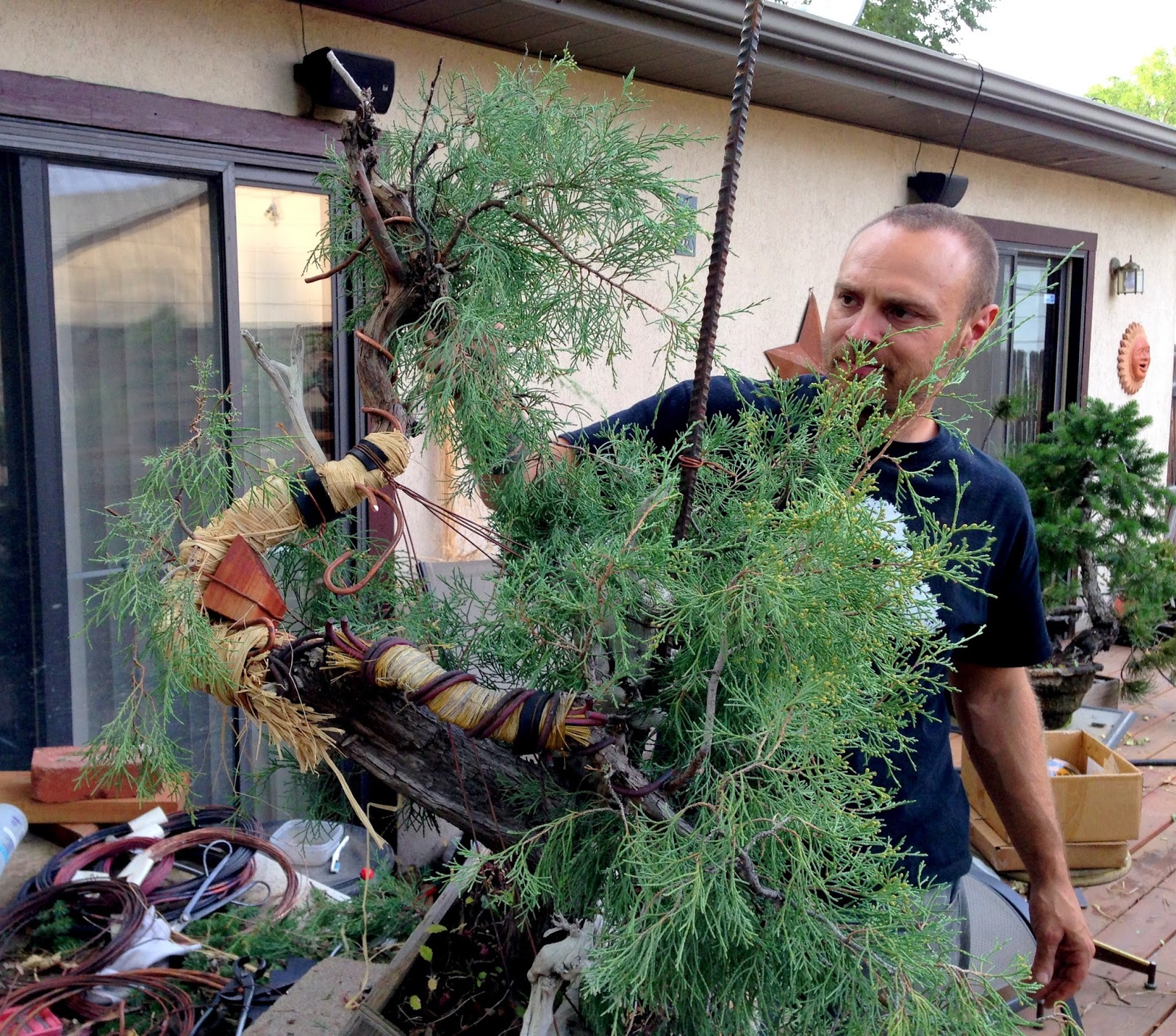 Branch Work