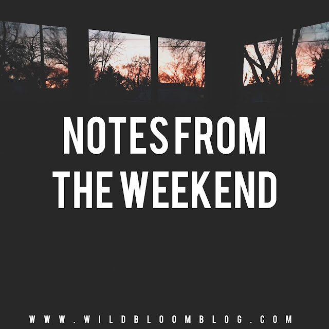 NOTES FROM THE WEEKEND | volume two. — wildbloom