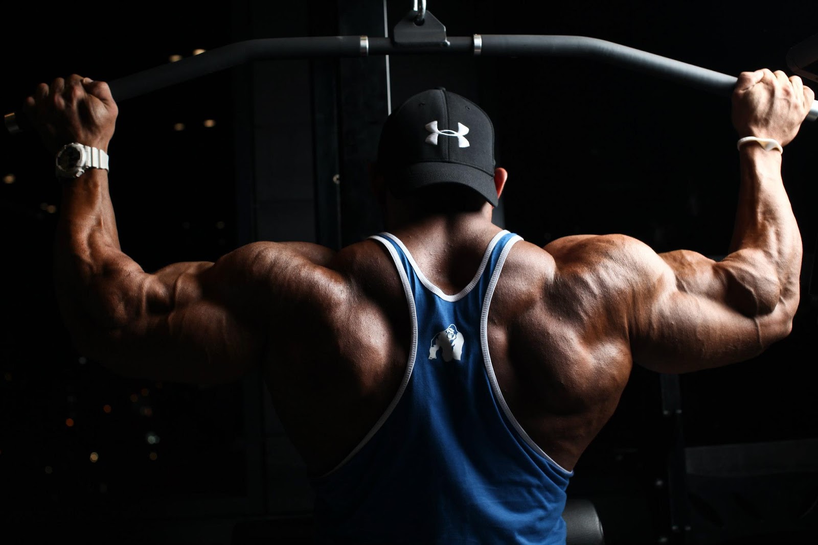 Muscle Lover: The incredible Anwar El Sayed!