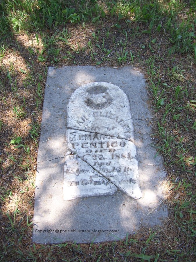 Prairie Bluestem: Two Repairs for Broken Headstones